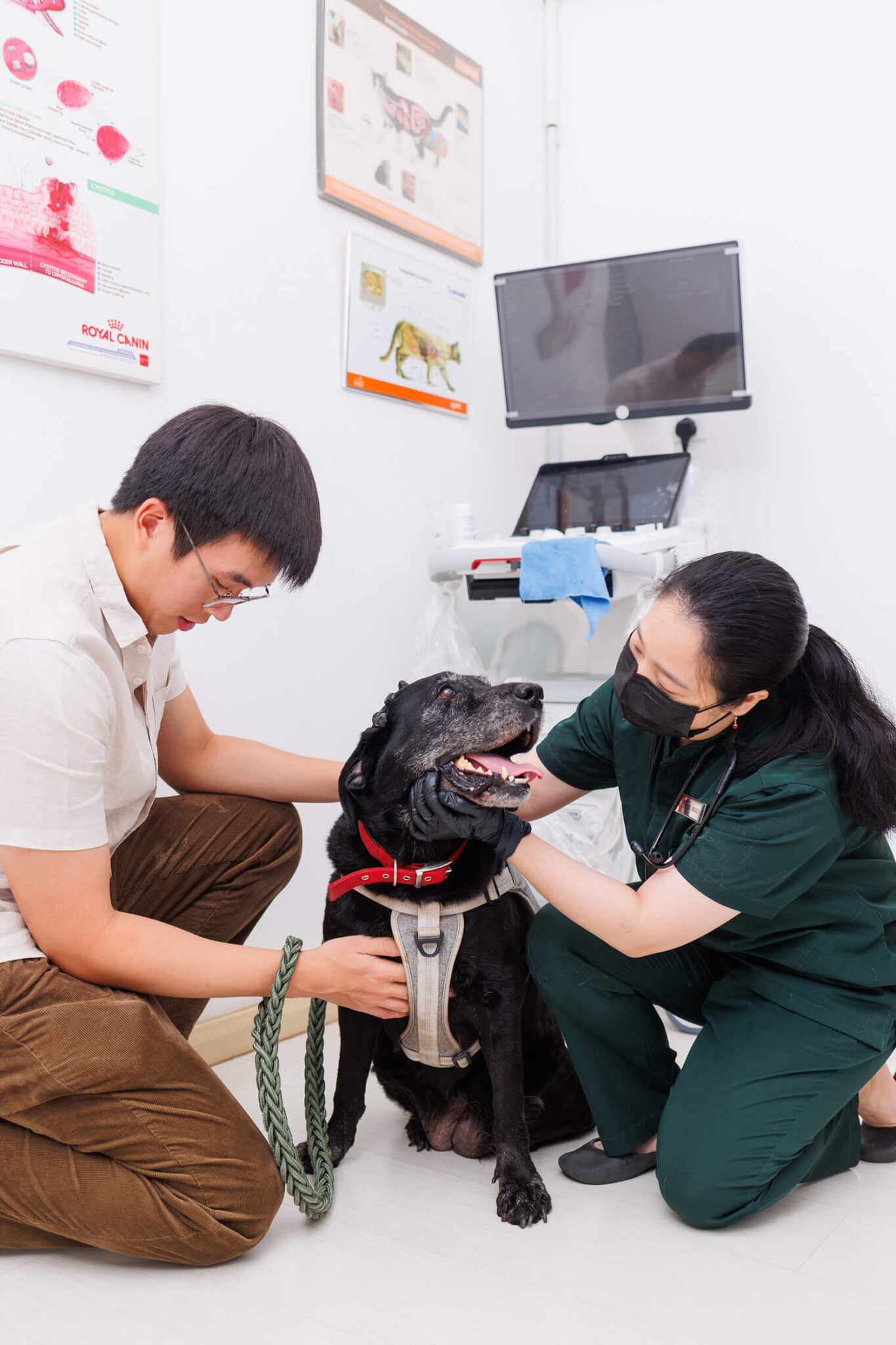 Our Story and Mission - Primavet Animal Clinic